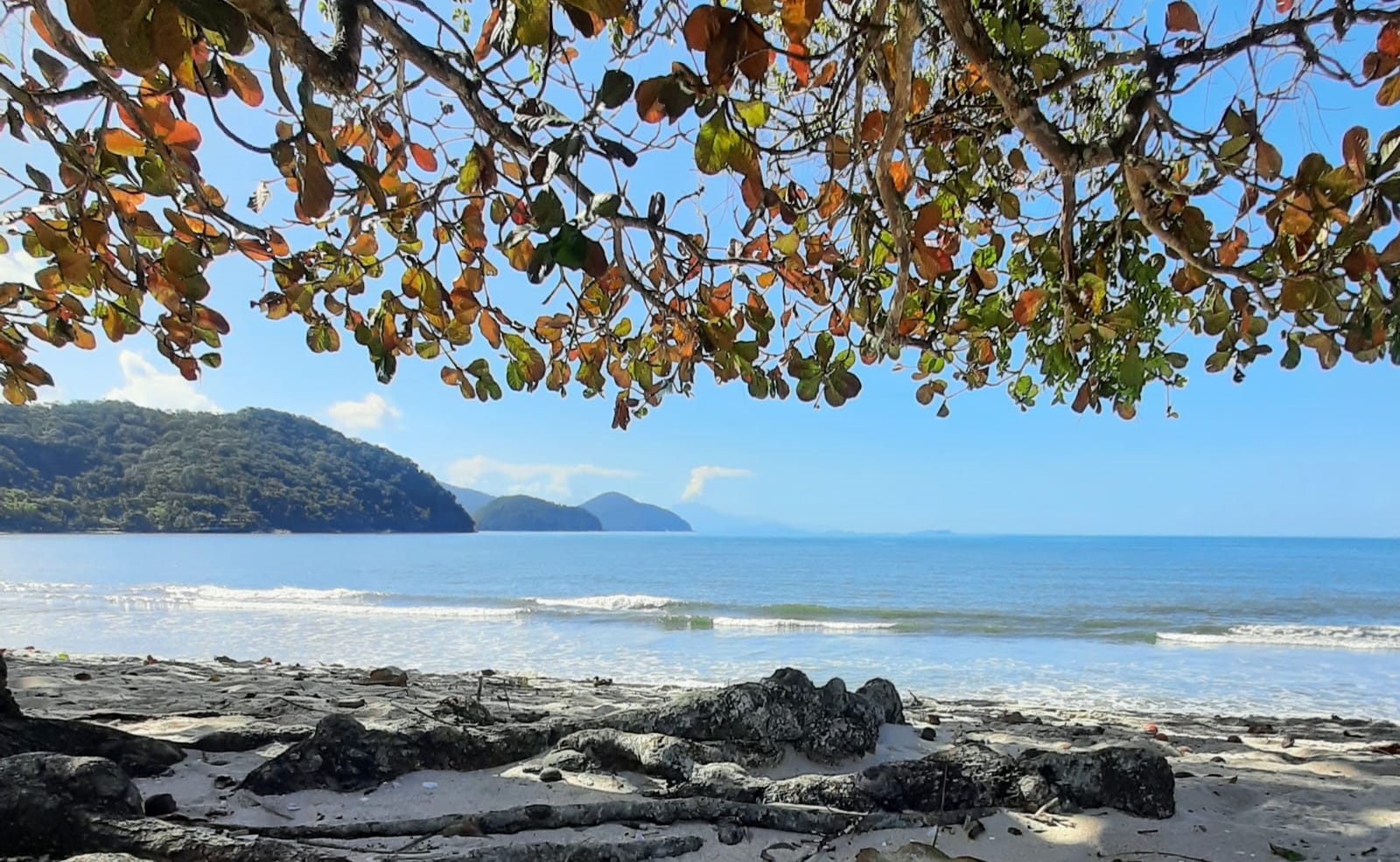 CBH-LNUbatuba luta para preservar a praia de Itaguá cuidando do Rio ...